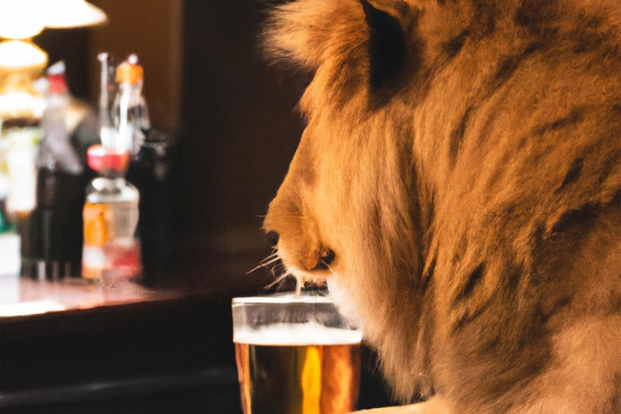 VIC DANA: NOVA ĆE GODINA- Sjede lav i bik u kafani za šankom i piju pred doček... (foto) - IBALKAN